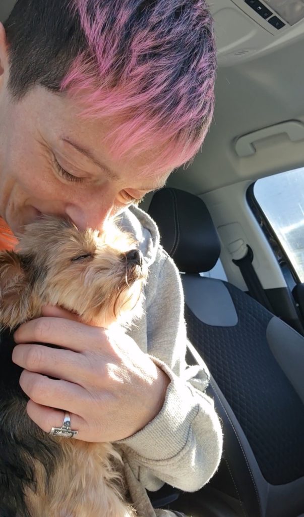 Getting Blossom Home – Animals Lost and Found in Kent